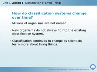 Classification of living thing holt | PPT