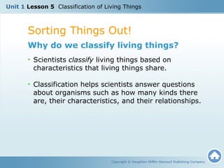 Classification of living thing holt | PPT