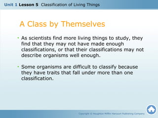 Classification of living thing holt | PPT