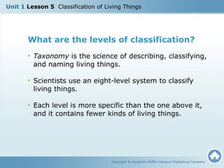 Classification of living thing holt | PPT