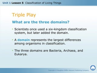 Classification of living thing holt | PPT