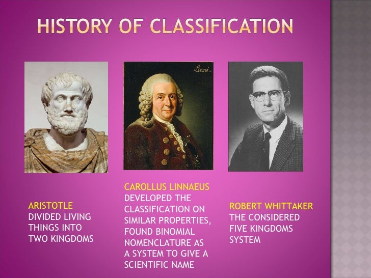 Classification Of Living Things