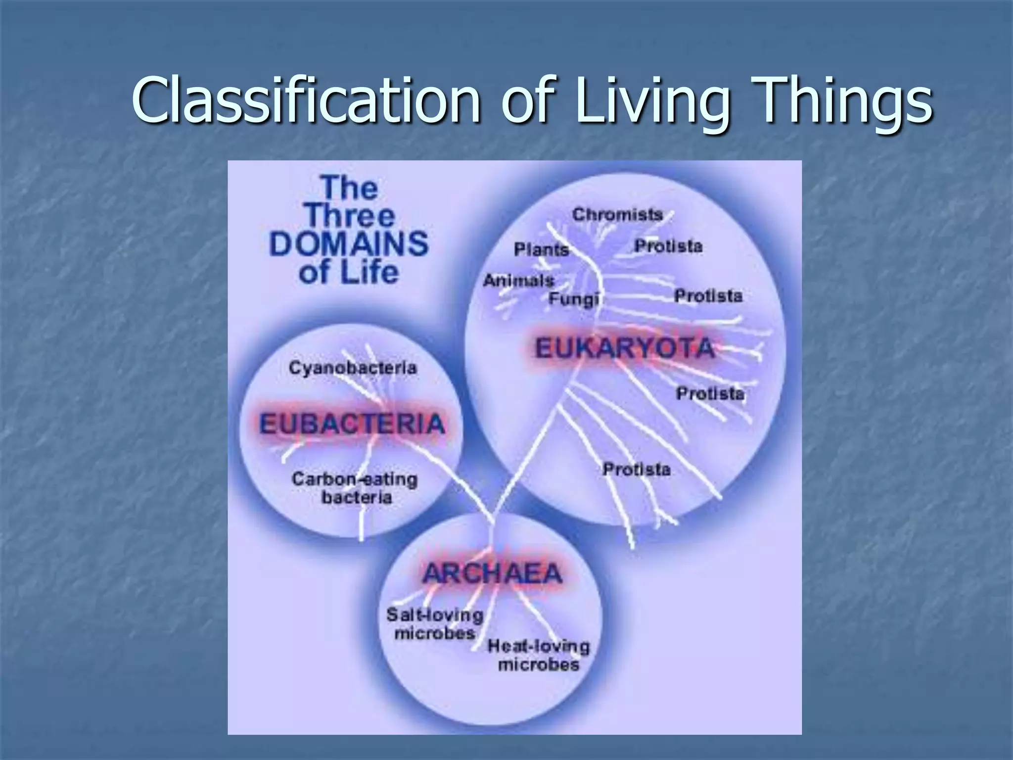 Classification of living_things | PPT