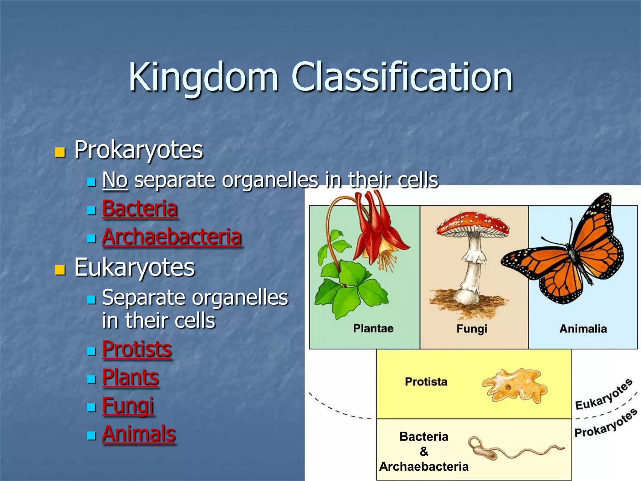 Classification of living_things | PPT