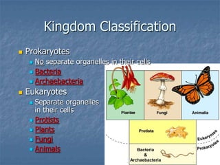 Classification of living_things | PPT