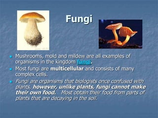 Classification of living_things | PPT