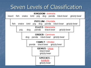 Classification of living_things | PPT