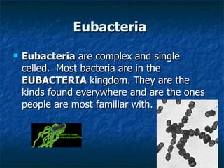 Classification of living_things | PPT | Biological Sciences | Science