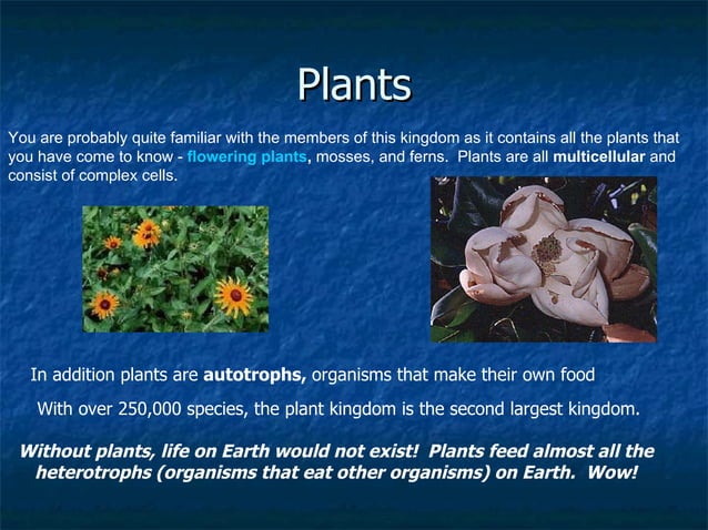 Classification of living_things | PPT | Biological Sciences | Science