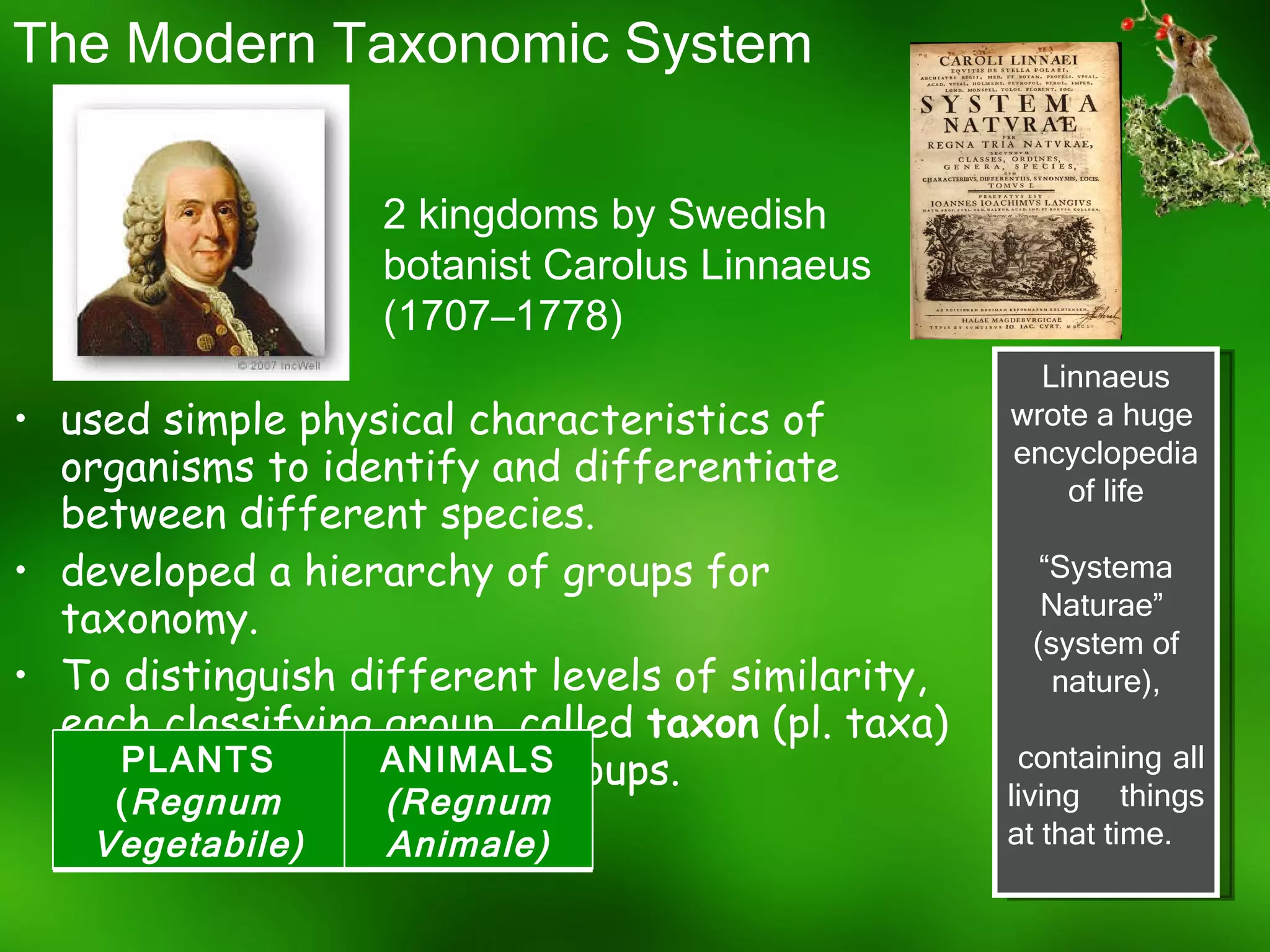 Classification of living things | PPT