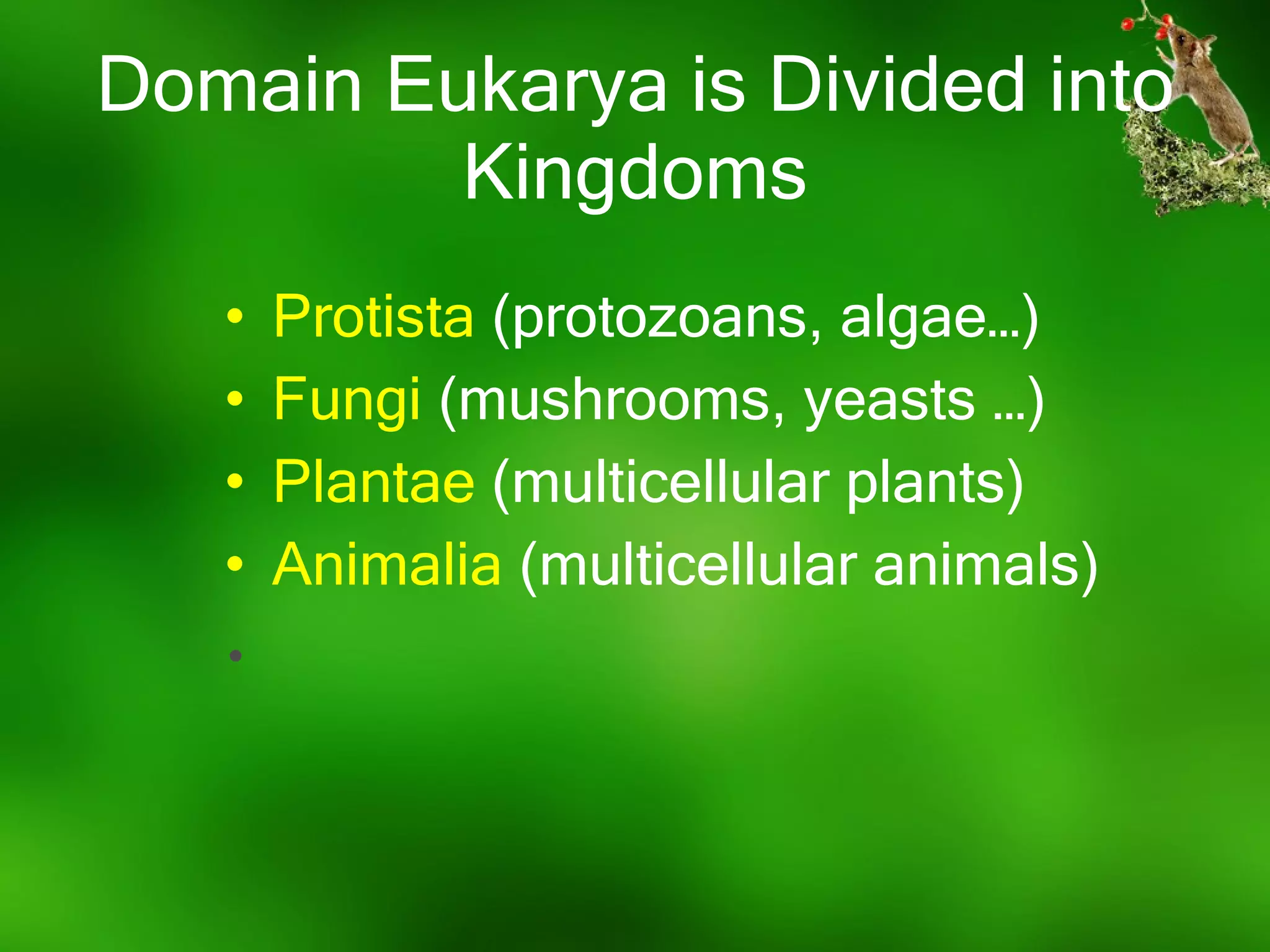 Classification of living things | PPT