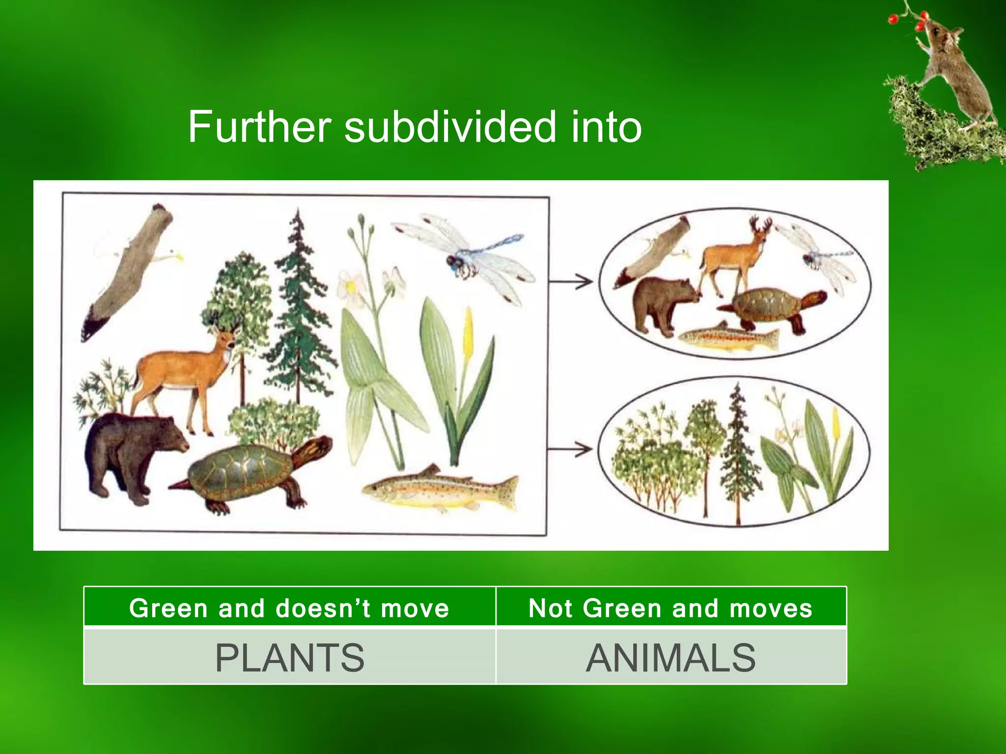 Classification of living things | PPT | Biological Sciences | Science