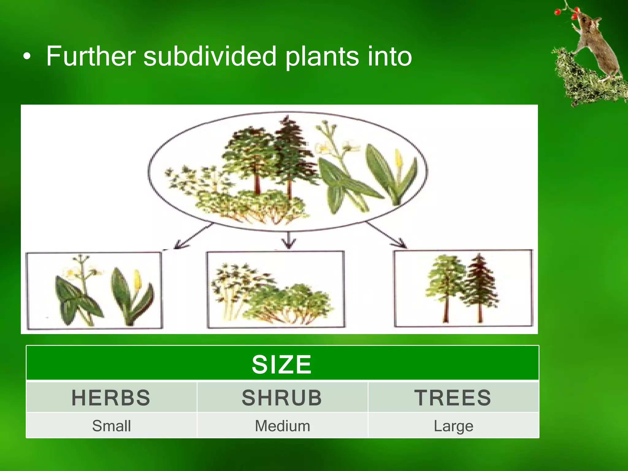 Classification of living things | PPT