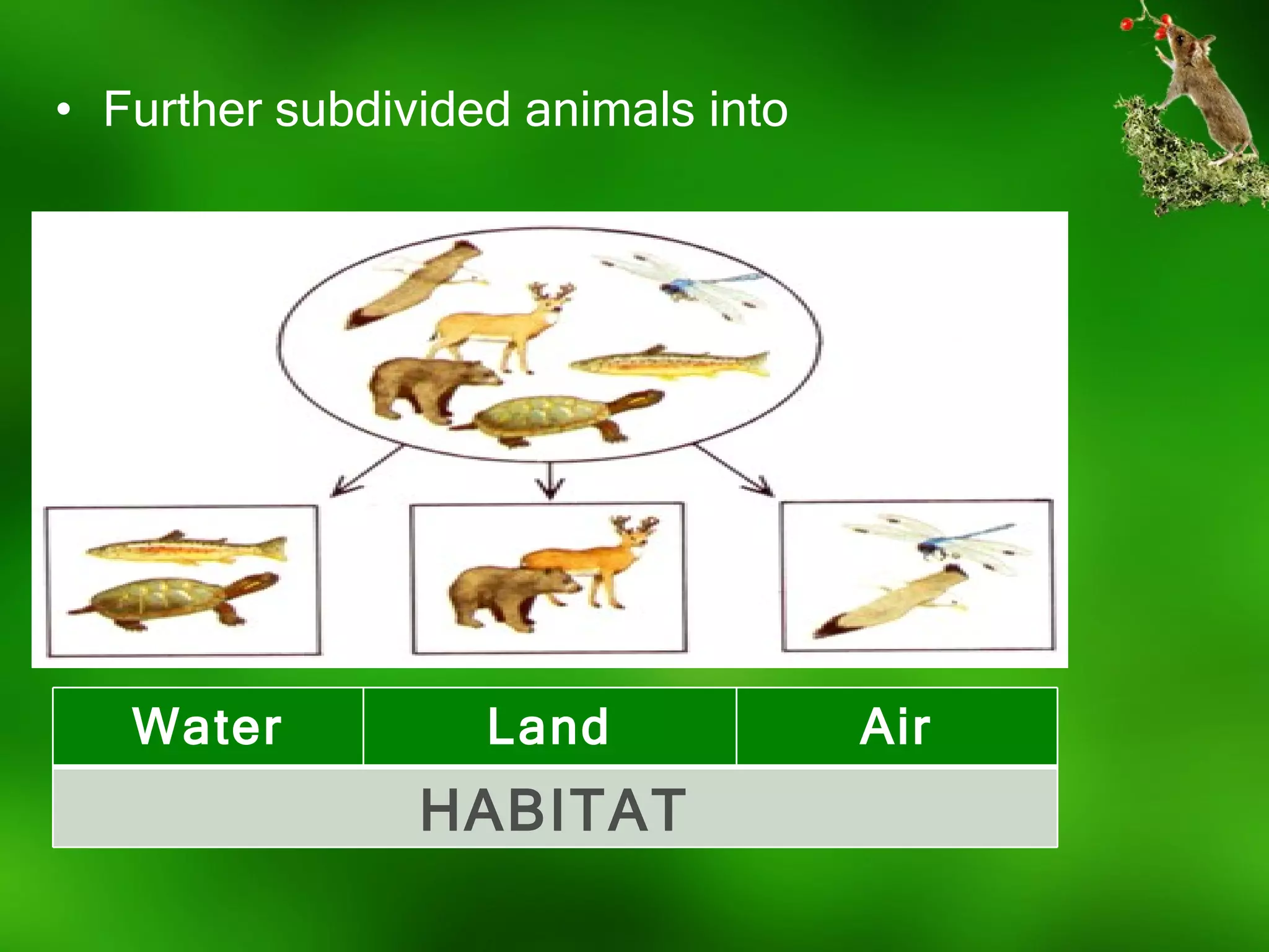 Classification of living things | PPT