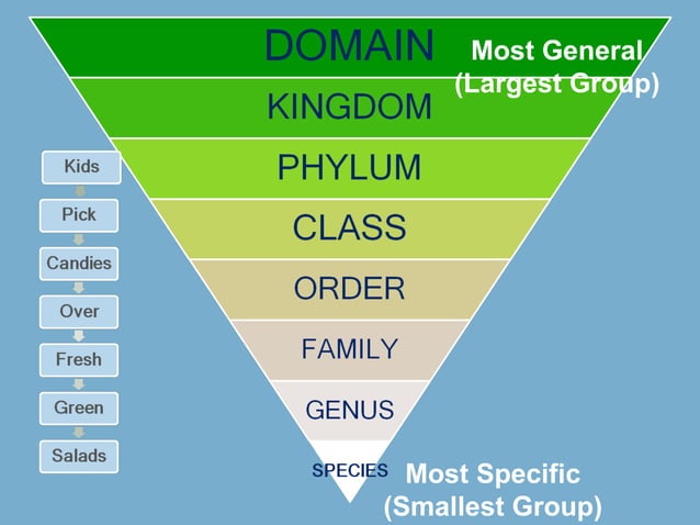 Classification of living things | PPT