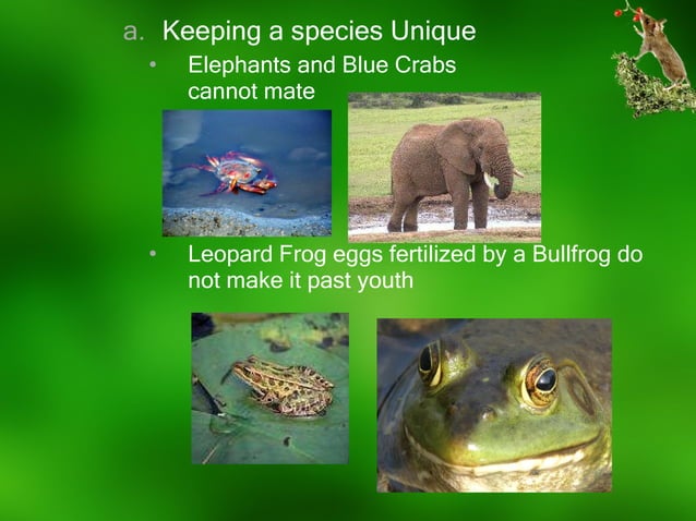 Classification of living things | PPT | Biological Sciences | Science