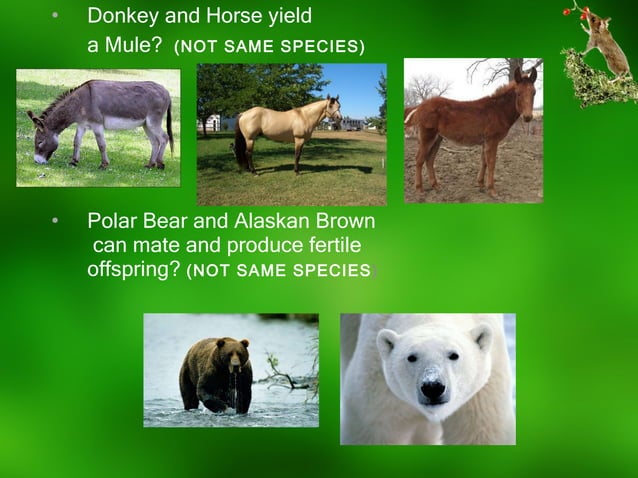 Classification of living things | PPT | Biological Sciences | Science