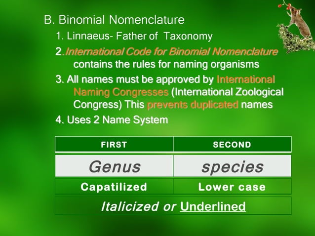 Classification of living things | PPT | Biological Sciences | Science