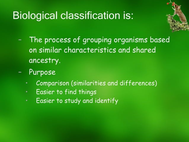 Classification of living things | PPT | Biological Sciences | Science