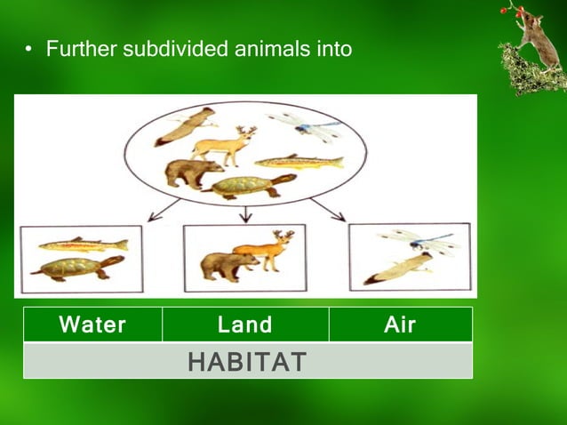 Classification of living things | PPT | Biological Sciences | Science