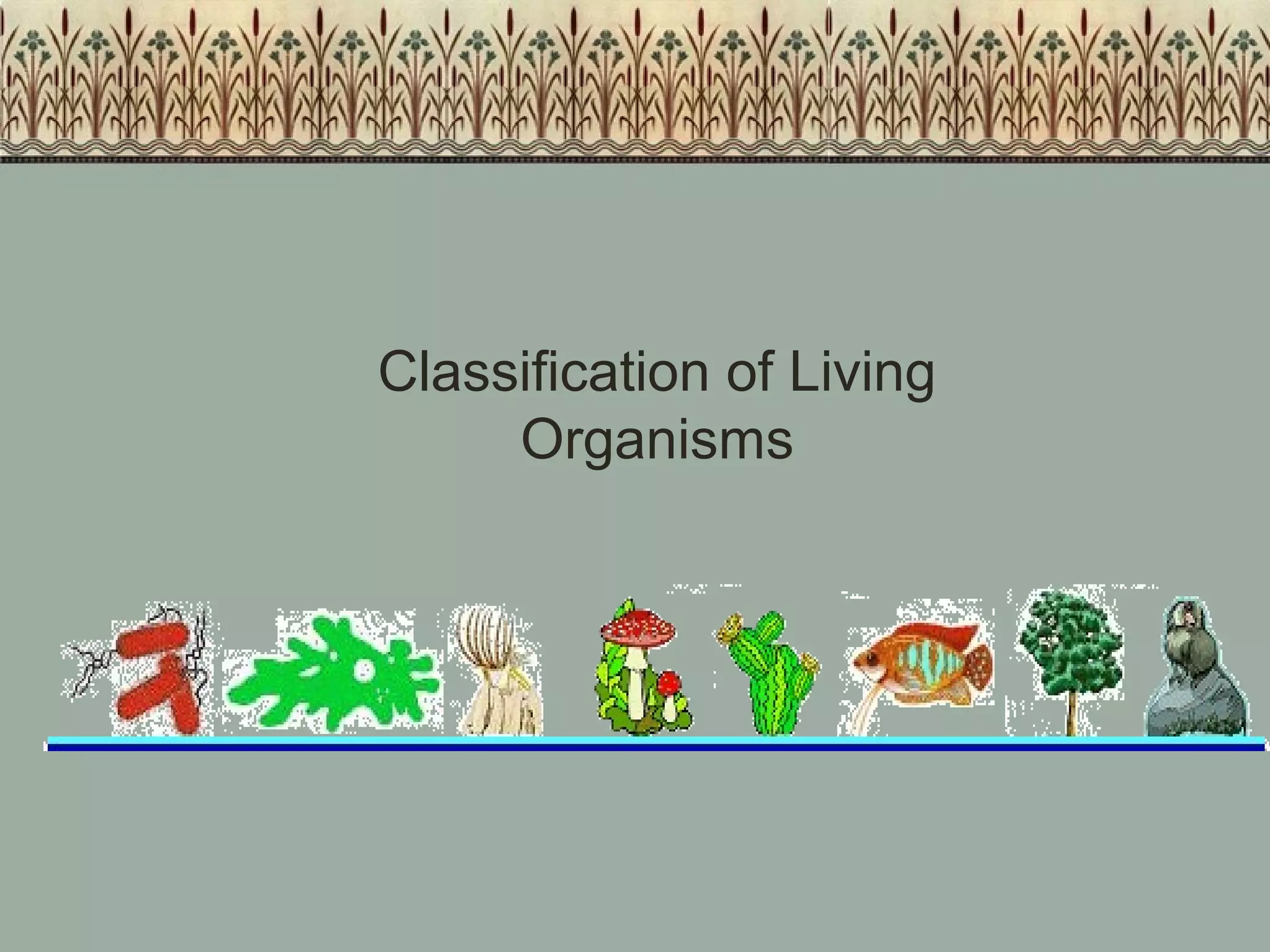 Classification of Living Things | PPT