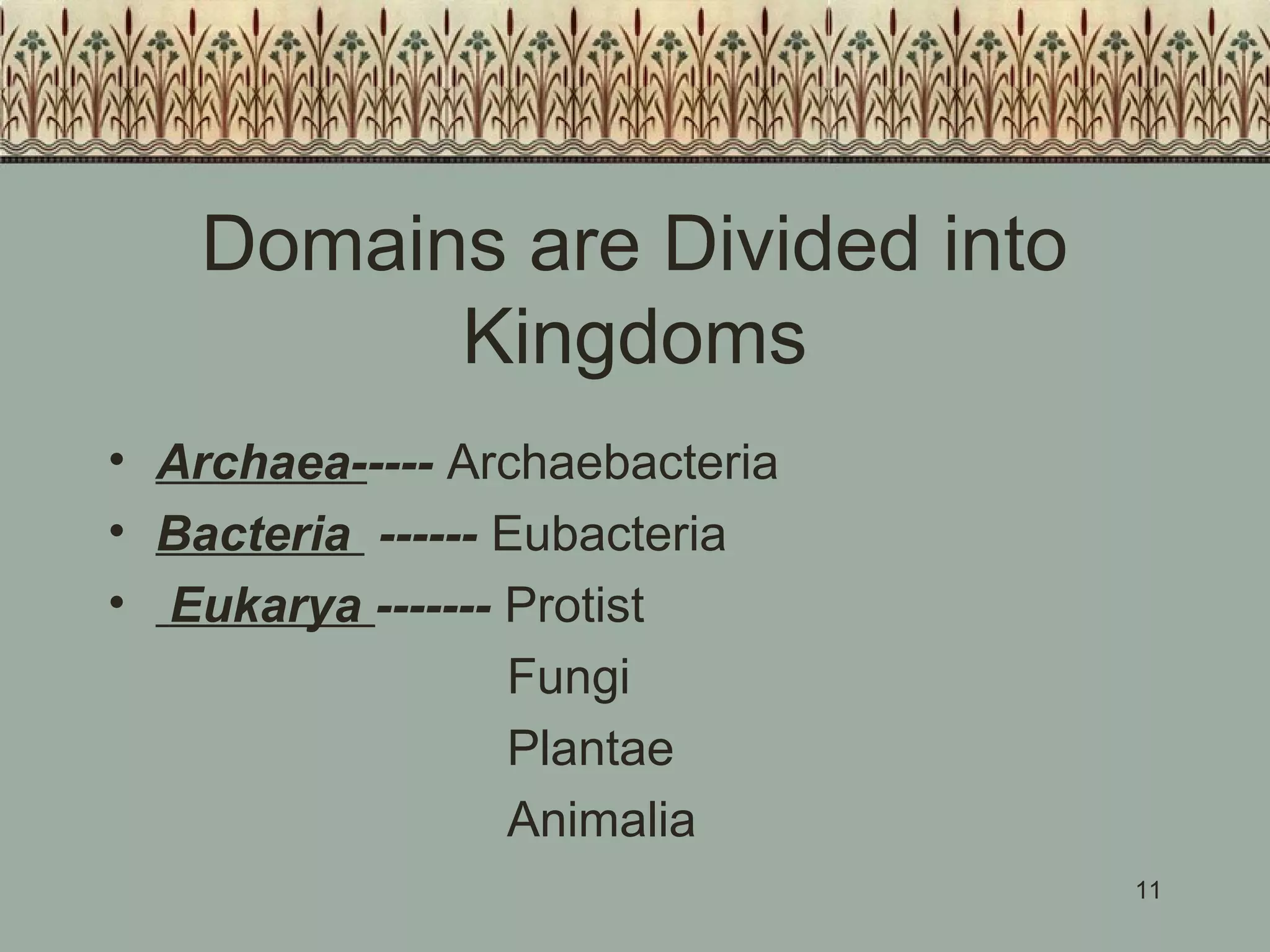 Classification of Living Things | PPT