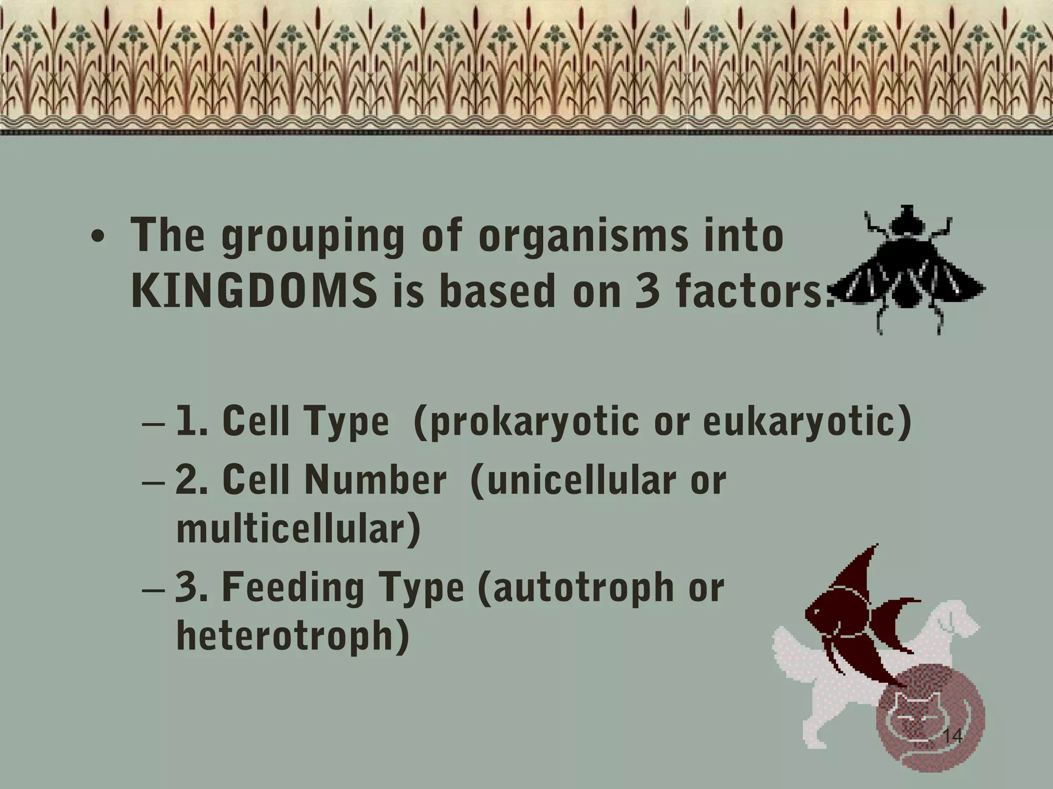 Classification of Living Things | PPT