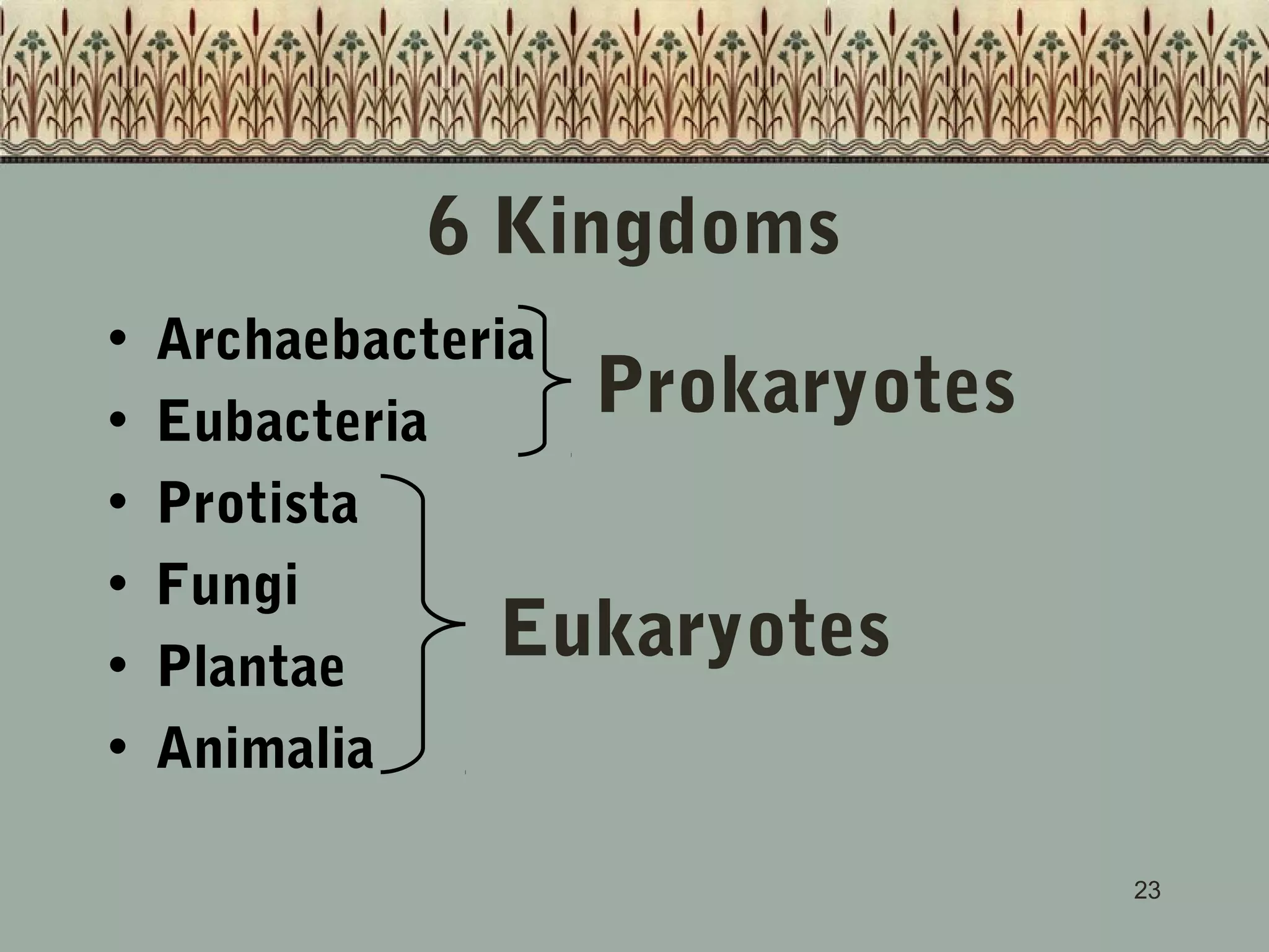 Classification of Living Things | PPT