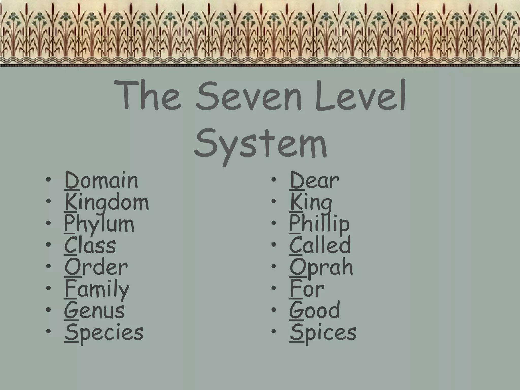 Classification of Living Things | PPT