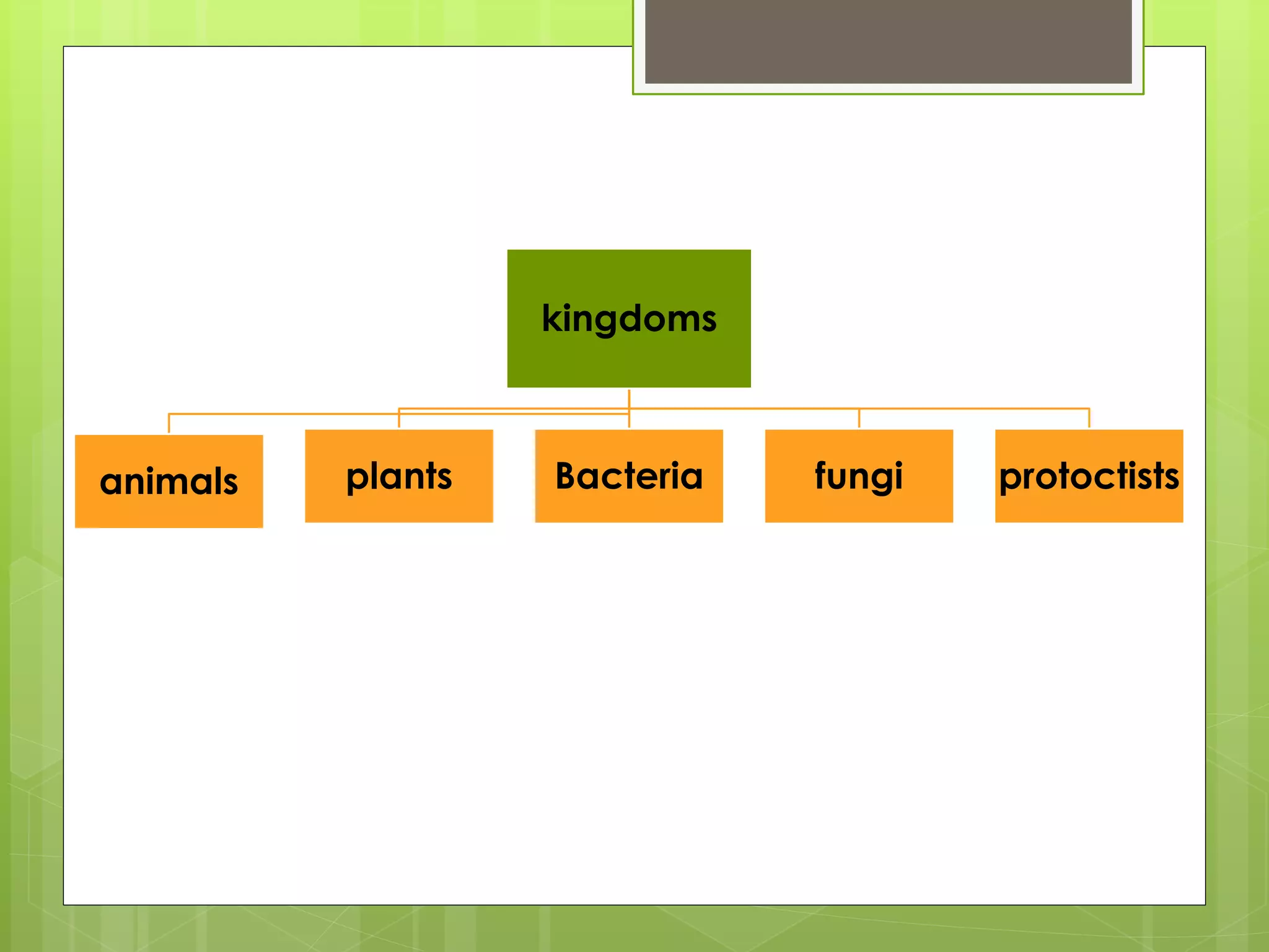 Classification of living things | PPTX