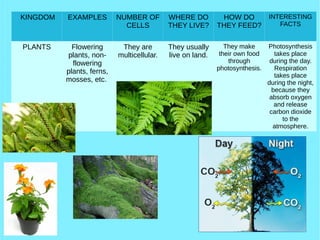 Classification of living things | PDF