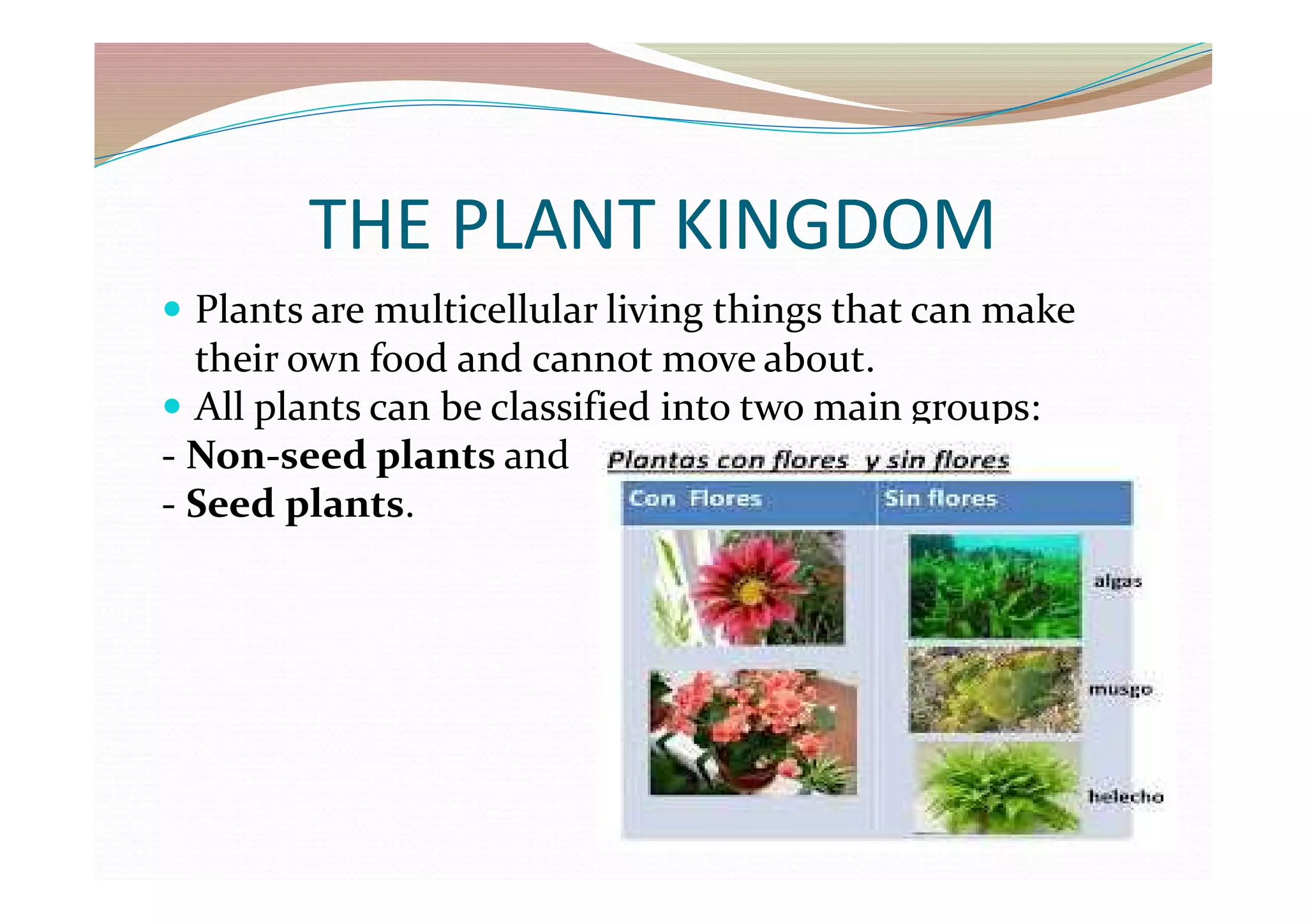 Classification of living things | PPT