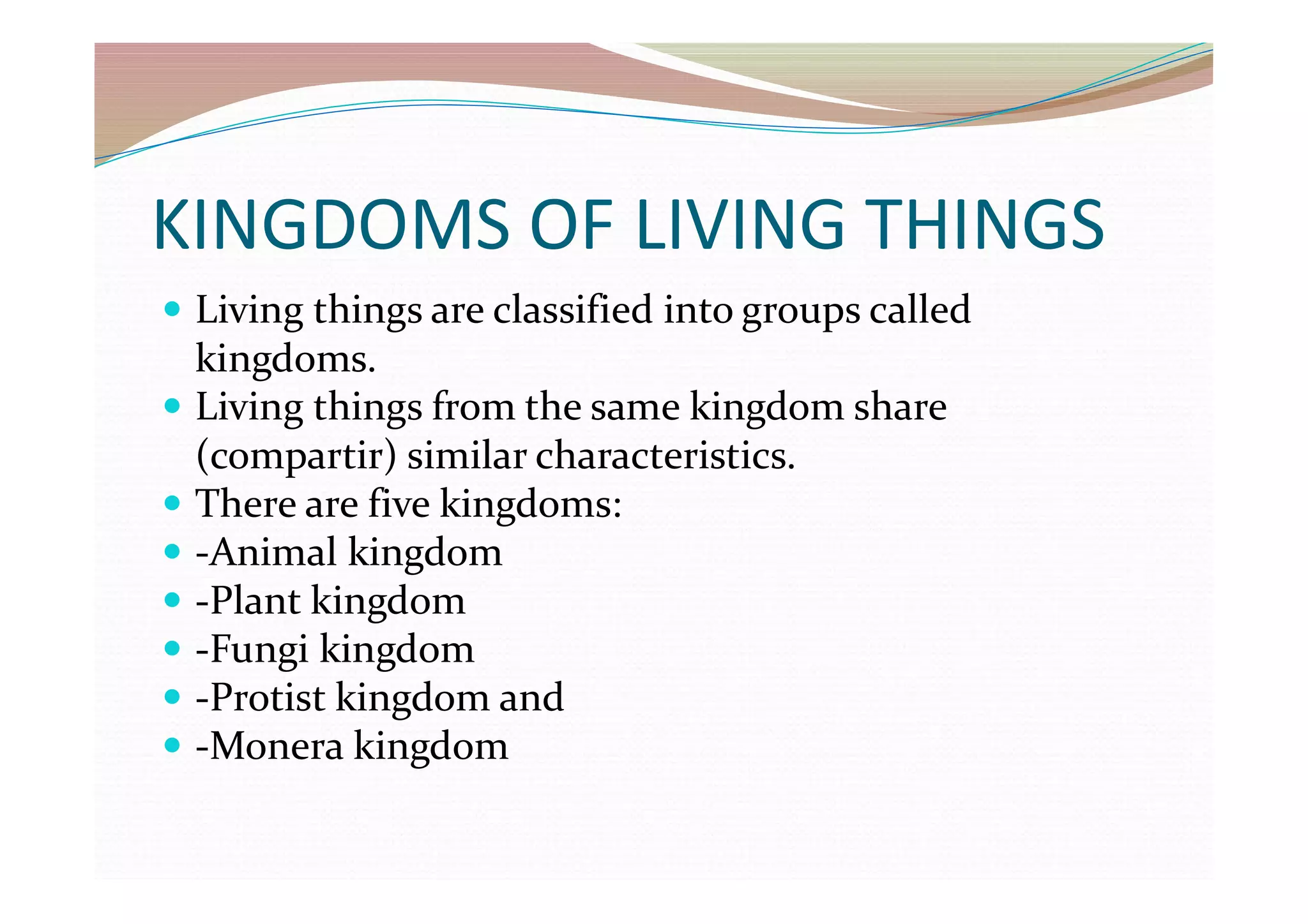 Classification of living things | PDF