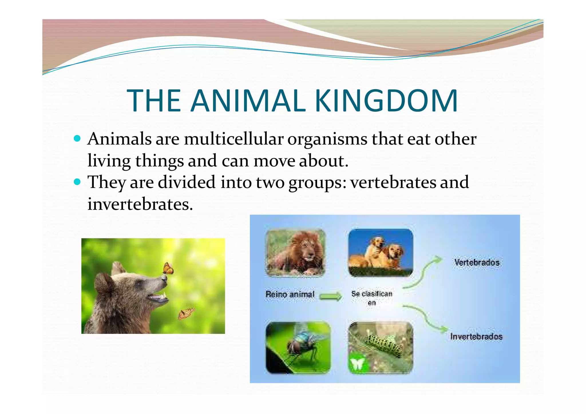 Classification of living things | PPT