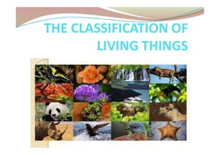Classification of living things | PPT
