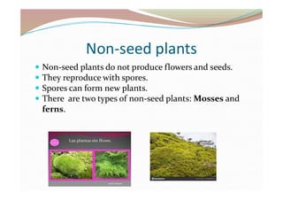 Classification of living things | PPT