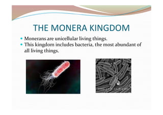 Classification of living things | PDF