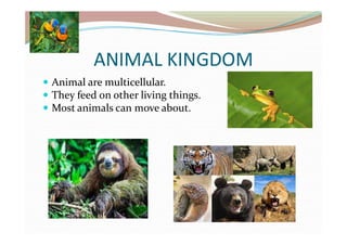 Classification of living things | PPT