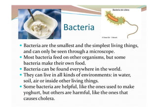 Classification of living things | PPT