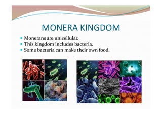 Classification of living things | PPT