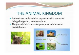 Classification of living things | PPT