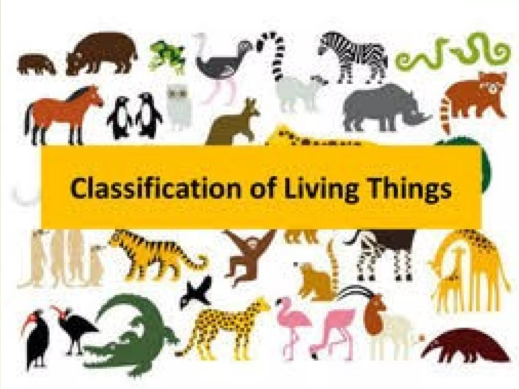 Classification of living things (An Introduction) | PPT