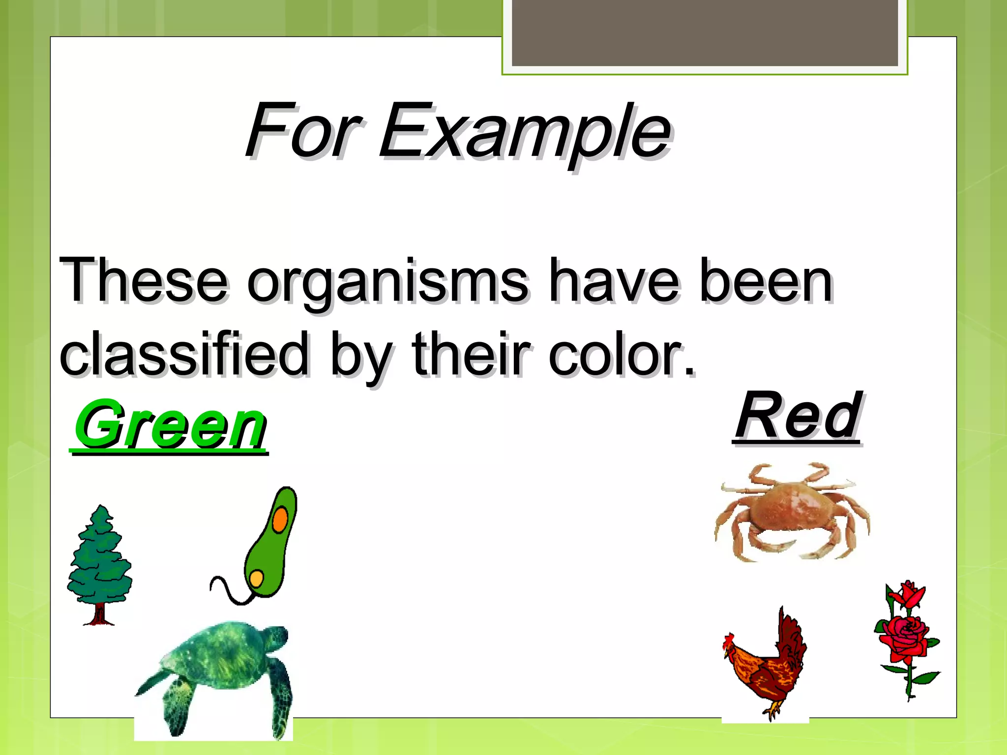 Classification of living things (An Introduction) | PPT