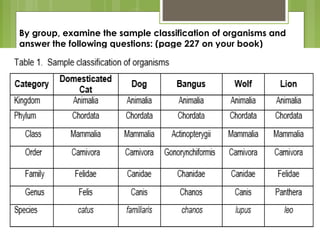 Classification Of Living Things Table
