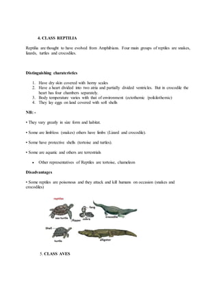 Classification of living things | PDF