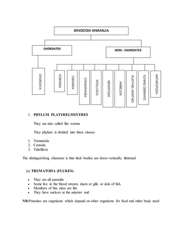 Classification of living things | PDF