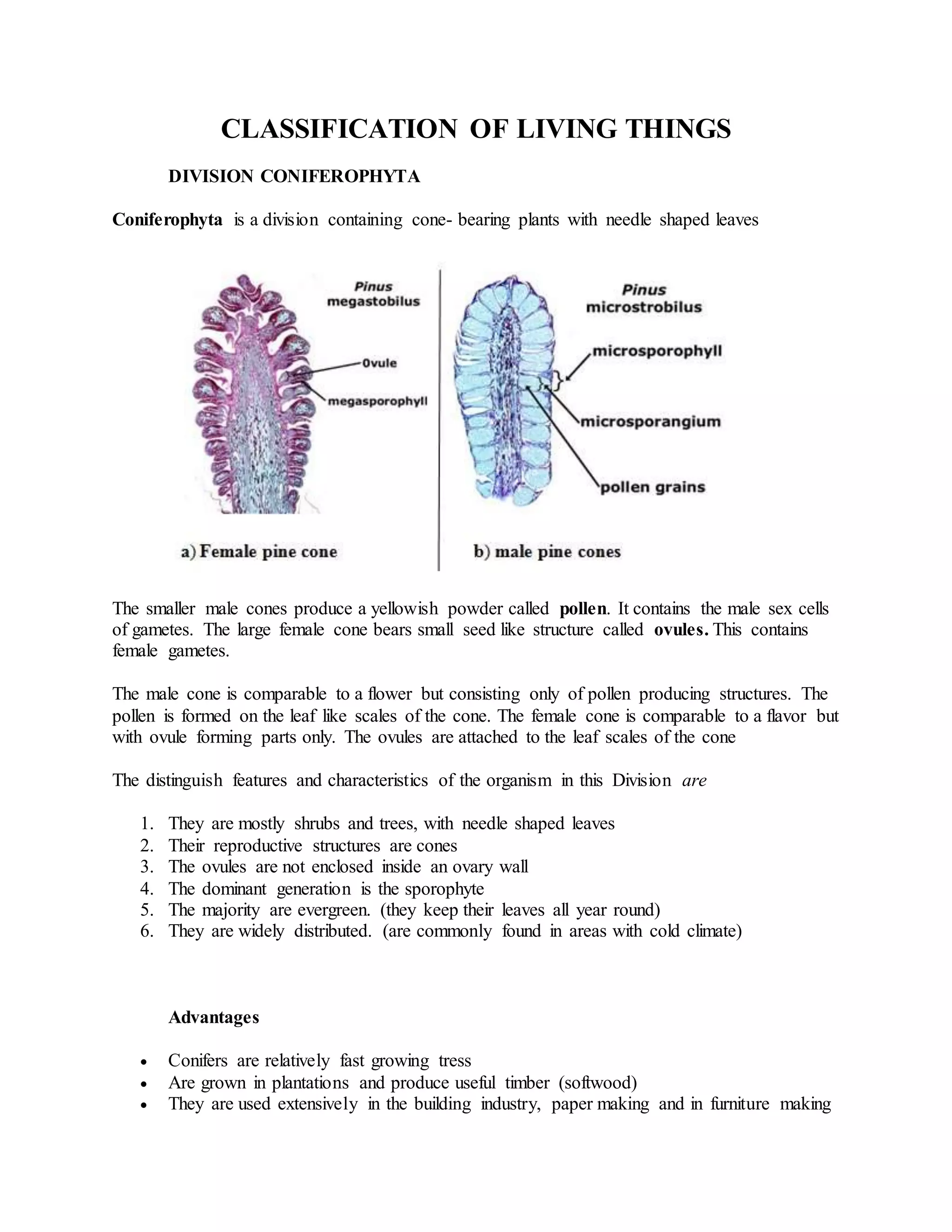 Classification of living things | PDF