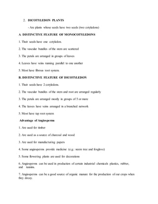 Classification of living things | DOCX