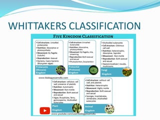 CLASSIFICATION OF LIVING THINGS.pptx