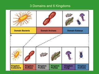 Classification_of_Living_Things.ppt | Gardening | Home & Garden